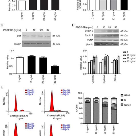Effect Of Pdgf Bb On Pasmcs Proliferation Nonratt0155872 And P21