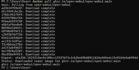 Running Deepseek R1 Locally Using Ollama And Open Webui In Docker