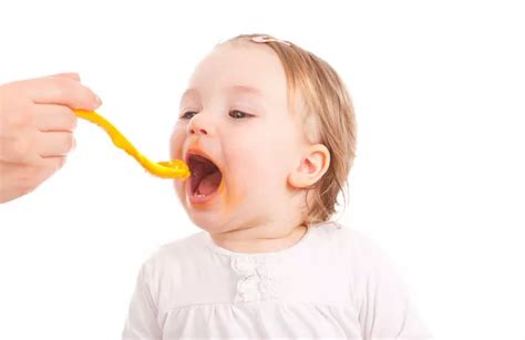 给宝宝添加辅食的重要性有哪些？ 知乎