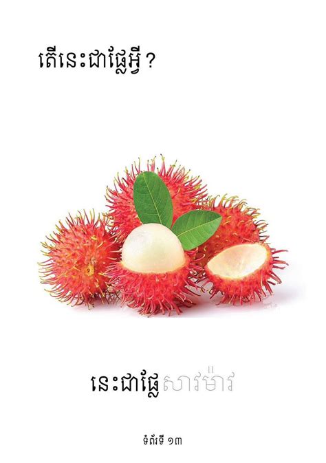 សម្ភារៈឧបទេសថ្នាក់មត្តេយ្យ សម្ភារៈឧបទេសថ្នាក់មត្តេយ្យ