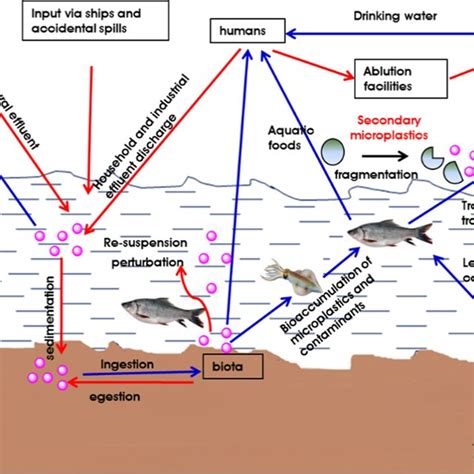 Pdf Microplastics In The Aquatic Environment The Occurrence Sources