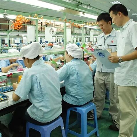 Product Quality Sorting Rework Services Amber Karya