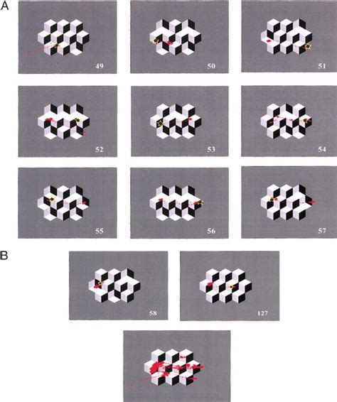 Stimulus Sequence And Eye Movement Behavior From One Trial A Image
