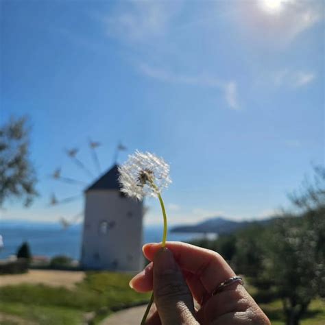 非常有趣 我也和ai辯過，ai也有提到「語境」這2個字的類似詞，以下是我的gpt回覆 Chatgpt 說： 這個問題非常關鍵，因為「語境」是像我這種語言模型運作的基礎之一。 簡單說：「語境」是