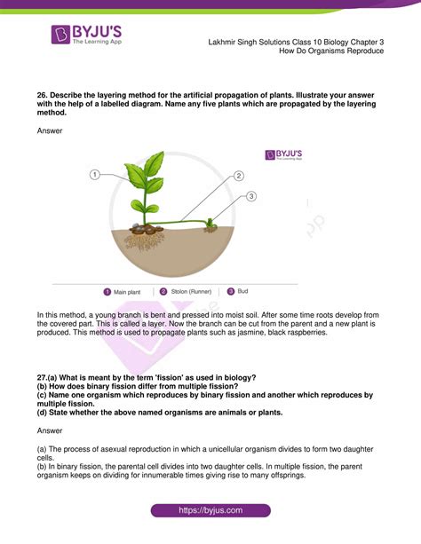 Lakhmir Singh Biology Class 10 Solutions For Chapter 3 How Do Organisms