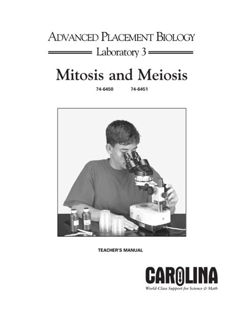 Mitosis And Meiosis AP Biology Lab Teacher S Manual