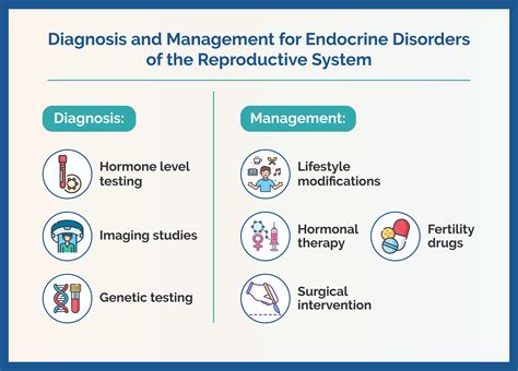 Reproductive Endocrine Disorders Causes And Treatments