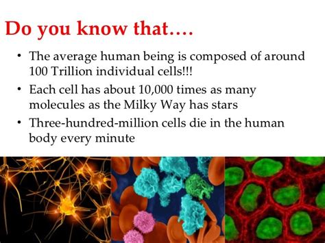 3 Cellular Basis Of Life