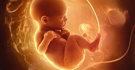 Día Mundial De La Fertilidad Advierten Sobre El Impacto De Los Hábitos
