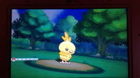 Pokémon Omega Ruby Shiny Torchic Youtube