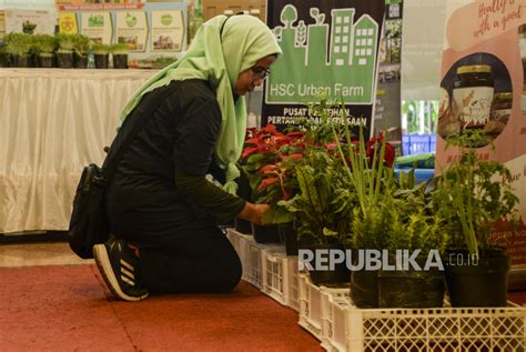 Festival Urban Farming Digelar Di Balai Kota Republika Online