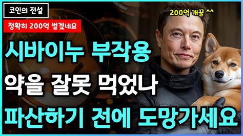 시바이누 약 잘못 먹었나 파산하기 전 도망가시길 바랍니다 Youtube
