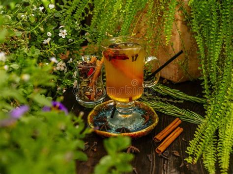 Hot Mulled Wine In A Glass Goblet With Cinnamon Sticks Vegetation