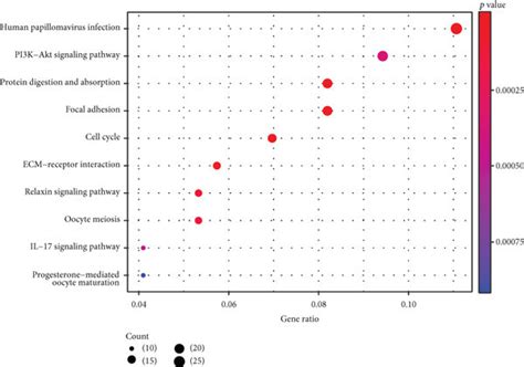 Transcriptome Information Analysis Of Differentially Expressed Mrna In