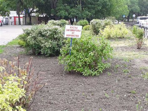 Защита от воровства Пикабу