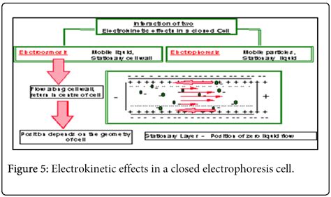 Zetasizer Technique In Biochemistry