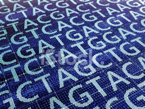 Dna Sequencing Stock Photo Royalty Free FreeImages