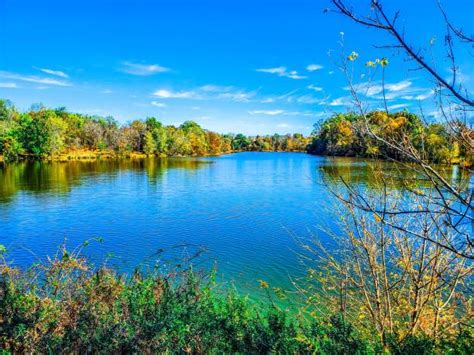 10 Langhorne Foto Foto Stok Potret And Gambar Bebas Royalti Istock