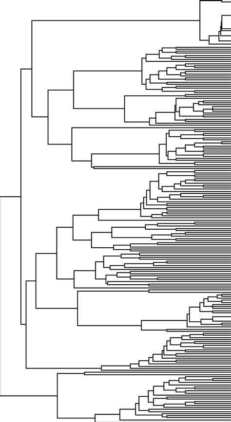 Unweighted Pair Group Method With Arithmetic Mean Upgma Tree Diagram