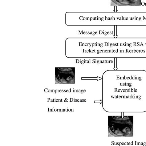 Embedding Procedure And Authentication Procedure Download Scientific