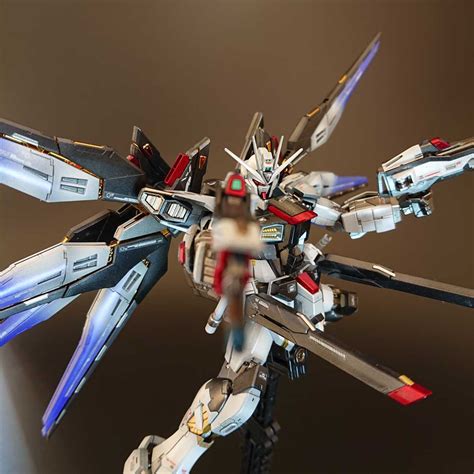 Ectosexine Rg リアルグレード ストライクフリーダムガンダム 全塗装完成品