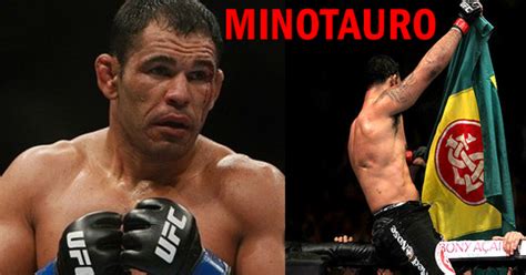 Portal Conde News VEJA QUANTO MOVIMENTOU O UFC RIO