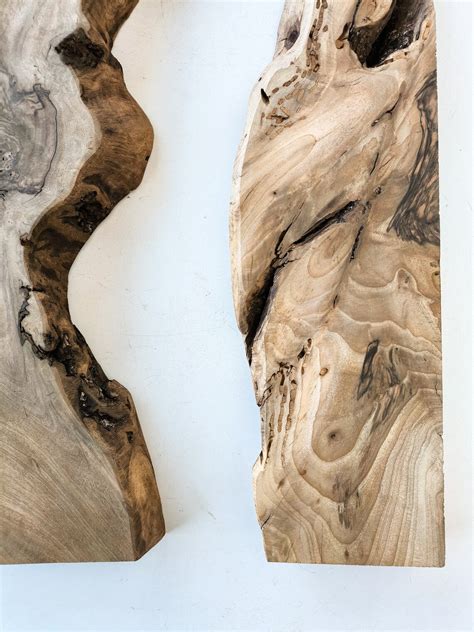 Walnut Tree Slice Walnut Tree Wood Slabs Live Edge Unique Walnut