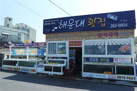 울산정자횟집울산정자맛집 해운대자연산횟집 네이버 블로그