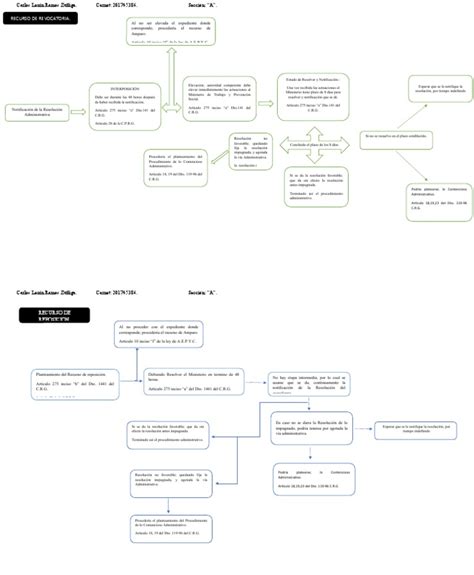 Esquema Del Recurso De Revocatoria Y Reposicion En Materia Laboral