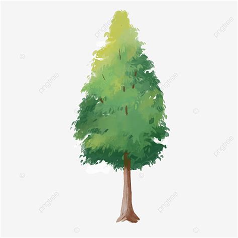 Watercolor Leaves White Transparent Watercolor Slut Tree Watercolor Leaves Watercolor