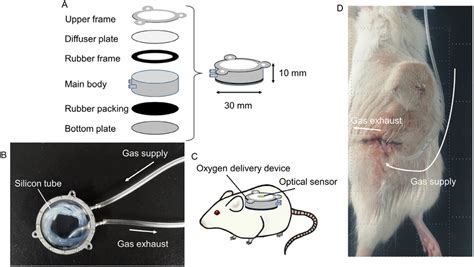 The Oxygen Delivery Device And Oxygenation Procedure A Overview Of Download Scientific