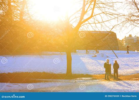 OSLO, NORWAY, 27 FEBRUARY, 2023: Sunset in a Park in Oslo, Norway, Europe Editorial Stock Image ...