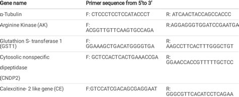 Quantitative Pcr Primers Sequences Download Scientific Diagram
