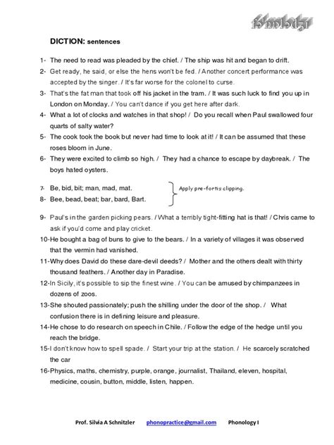 Diction Sentences Pdf Young Adult