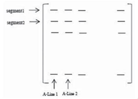 Schematic Of Displacement Matrix Download Scientific Diagram