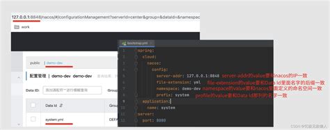 Springcloud Nacos Nacos Failed To Configure A Datasource
