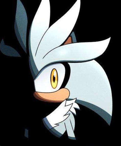 So Heres My Tier List Of Every Female Sonic Character Rsonicthehedgehog