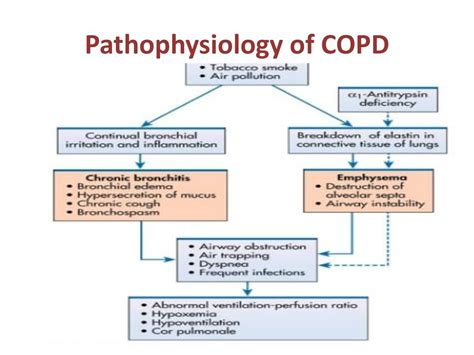 Copd Pathophysiology Flowchart