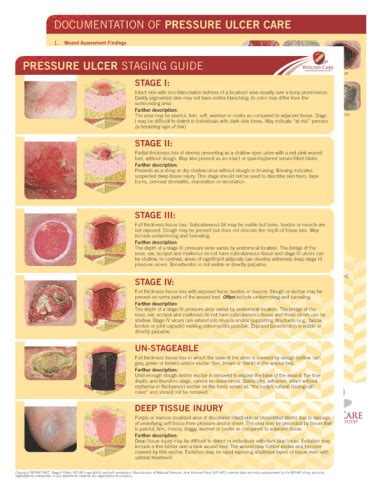 Npuap Pressure Ulcer Staging Guide —the Pressure Ulcer Scale For