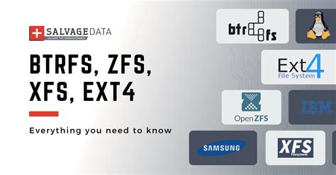Btrfzfsxfsext