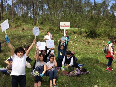ჩემი ახალი კლასი პროექტი ტყე და მისი მნიშვნელობა