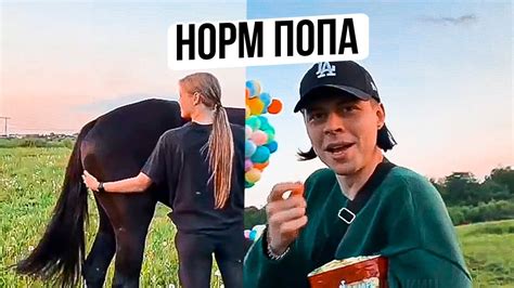 ФРЕЙМТАЙМЕРУ ЗАШЛА ПОПА КОНЯ Youtube