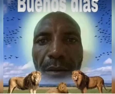 C Mo Les Ha Ido Este D A Memedroiders Meme Subido Por Alexflores