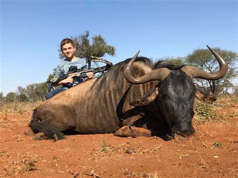 Rifle And Bow Hunting Sch Hunting Safaris