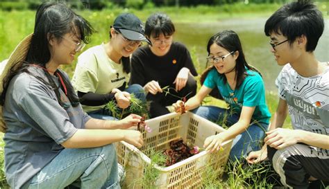 我校第19次获评全国大学生三下乡社会实践先进单位 肇庆学院