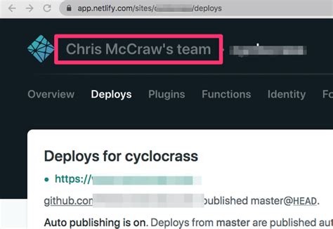 Copy The TXT Record Below Into The DNS Configuration For Mysite Com To Verify Ownership