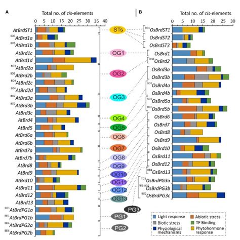 Diversity Of Cis Regulatory Elements In The Upstream Region 2000 Bp