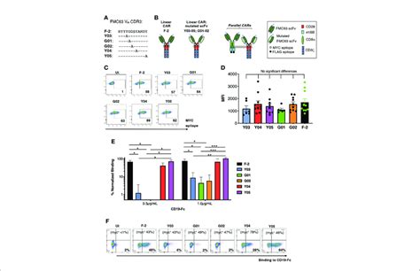 Engineering Of A Panel Of Cd19 Specific Cars A The Indicated Download Scientific Diagram
