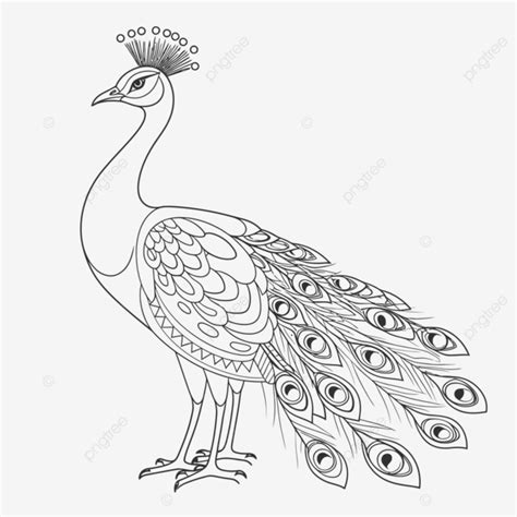 King Of Peacock Coloring Sheet Outline Sketch Drawing Vector Wing Drawing Ring Drawing King