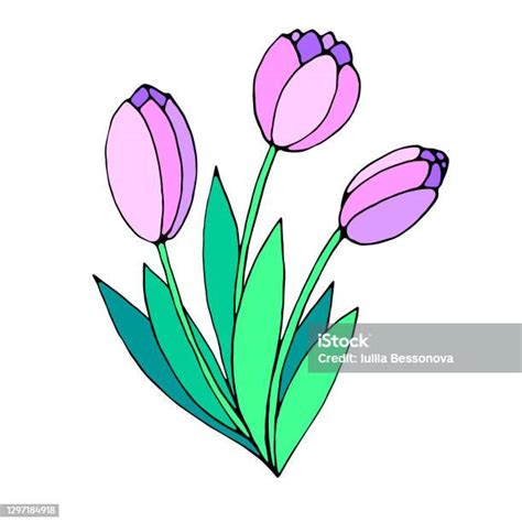 튤립의 세 개의 분홍색 꽃의 꽃다발 벡터 손으로 그린 디자인 요소 봄 사랑 꽃의 상징 인사말 카드 결혼식 생일 어머니 또는 여성 또는 발렌타인 데이를위한 클립 아트 0명에